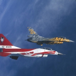 1991: FA-94 – 31 Tiger squadron