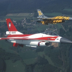 1991: FA-94 – 31 Tiger squadron