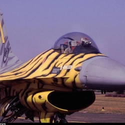 1991: FA-94 – 31 Tiger squadron