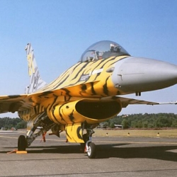 1991: FA-94 – 31 Tiger squadron