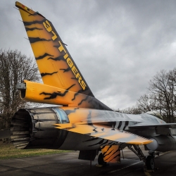 2018: FA-116 – 31 Tiger squadron